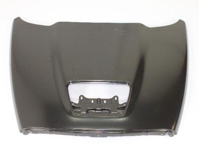 Hood & Scoop - 2007 Dodge Ram 3500 Cab Chassis