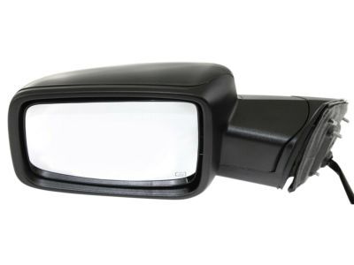 Mirror, Exterior - 2013 Ram 1500