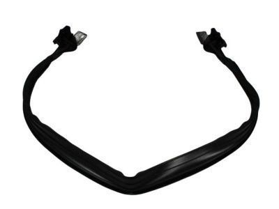 55395241AH - Genuine Mopar WEATHERSTRIP-Windshield To COWL