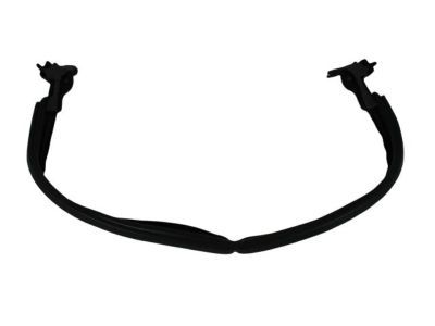 55395241AH - Genuine Mopar WEATHERSTRIP-Windshield To COWL