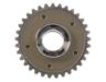 5184370AI - Genuine Mopar Gear-CAMSHAFT