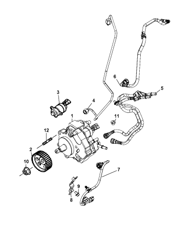 Fuel Injection Pump & Related - 2008 Jeep Wrangler