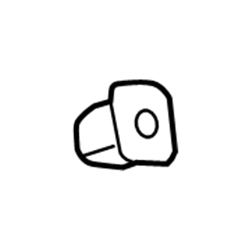 Fuel Filler Housing, Door And Related Parts - 2021 Ram ProMaster 1500